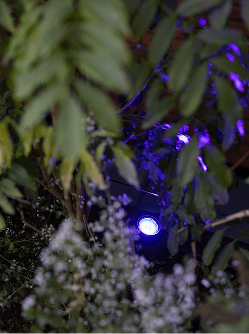 in-lite SMART SCOPE TONE ‒ Color Changing Outdoor LED Spotlight In ...